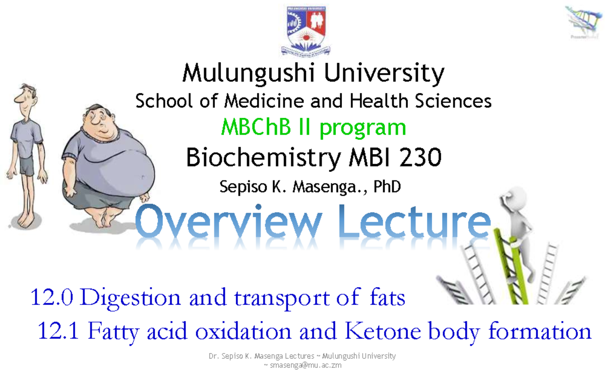 12.0 Digestion and Transportation of Fats - 12 Digestion and transport ...