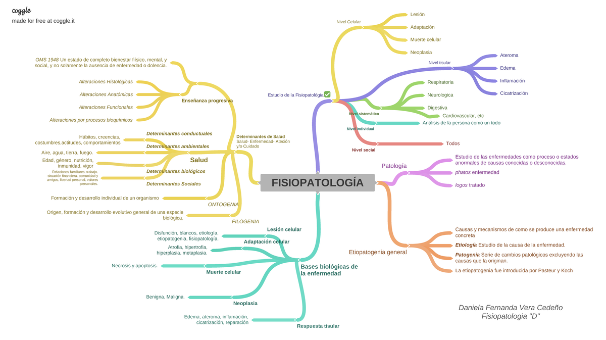 Fisiopatologa mapa mental 1 - FISIOPATOLOGÍA Patología phatos ...
