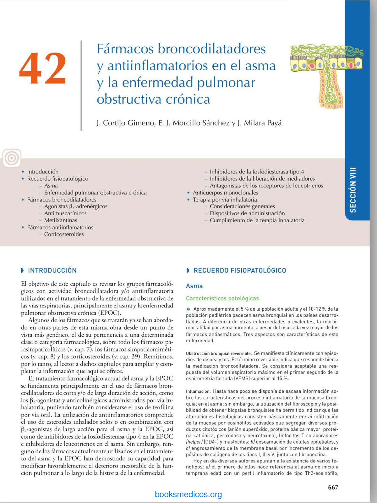 Broncodilatadores - Fármacos broncodi latadores y anti inflamatorios en ...