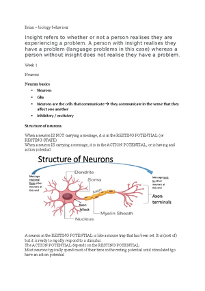 Other Tyoes of Neurons and Synapses - OTHER TYPES OF NEURONS AND ...