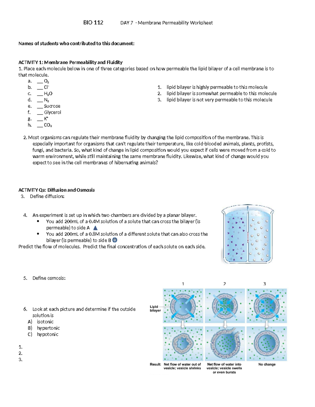 Day 7 - Membrane permeability and transport Worksheet - BIO 112 DAY 7 ...
