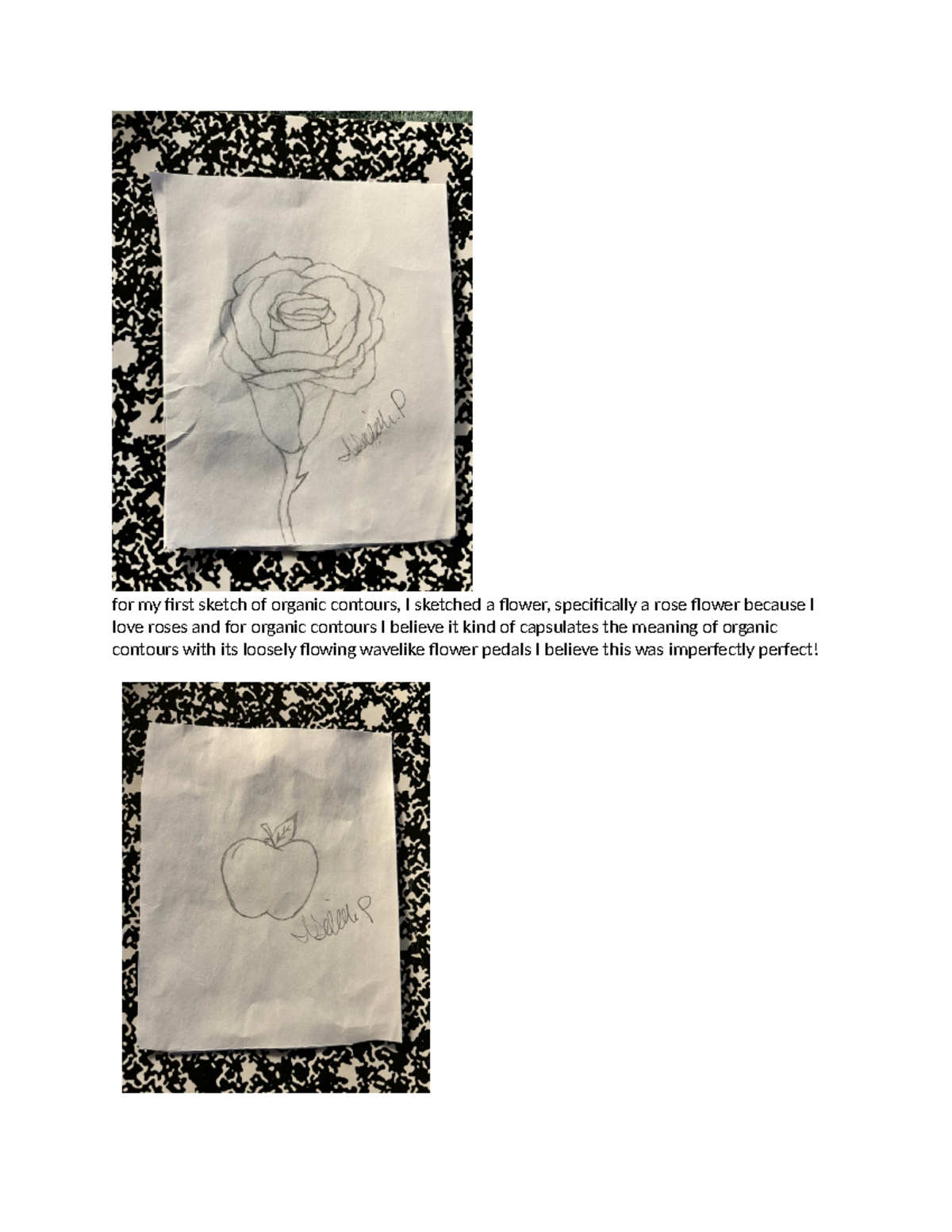 2-2 project still life contours - for my first sketch of organic ...