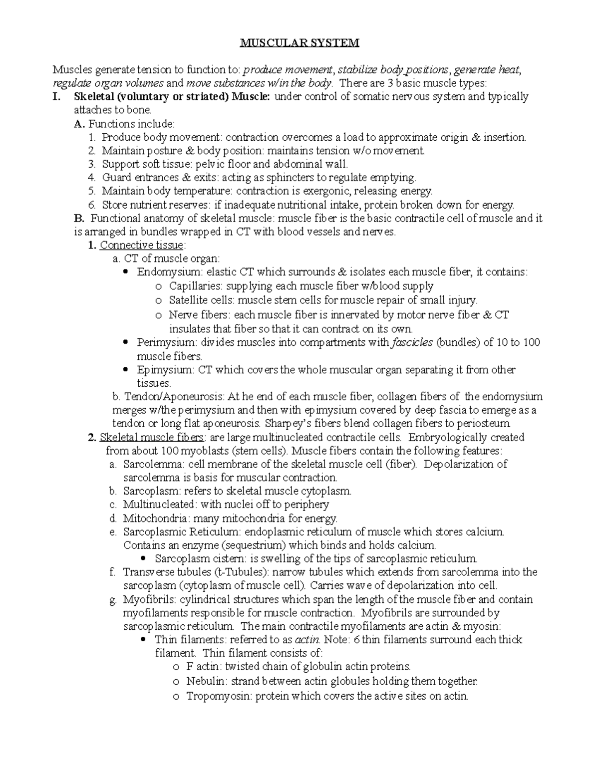 Muscular outline - MUSCULAR SYSTEM Muscles generate tension to function ...