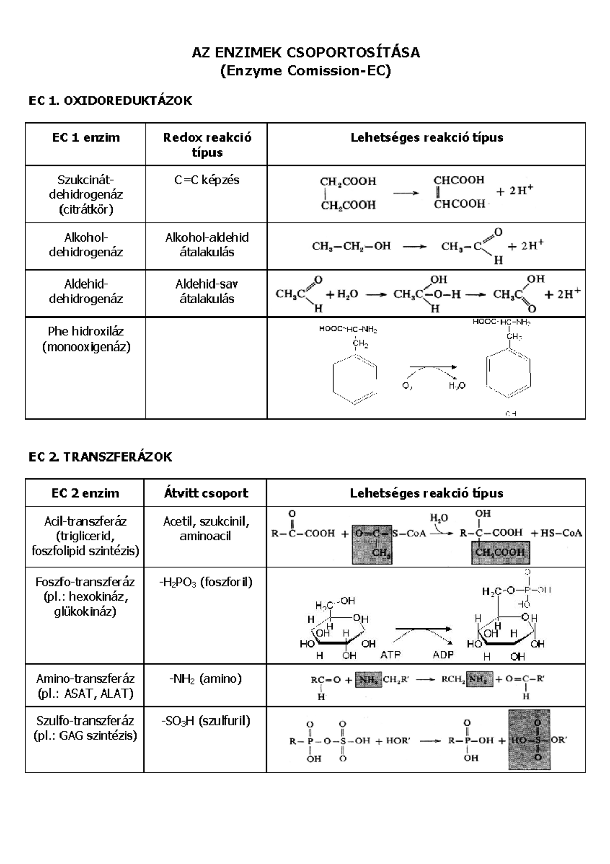 Enzimosztaly-magyar gyakorlatoki anyag - AZ ENZIMEK CSOPORTOSÍTÁSA ...