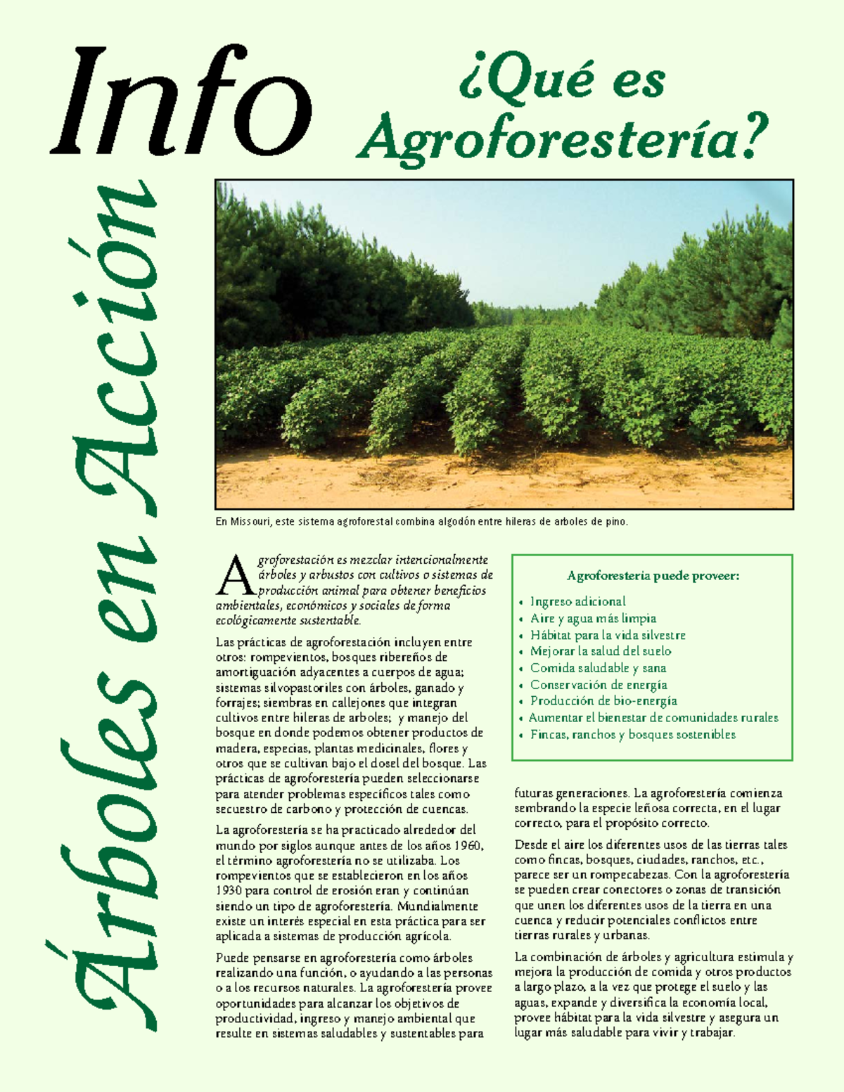 Whatis AF Spanish - asdasdas - Árboles en Acción Info ¿Qué es ...
