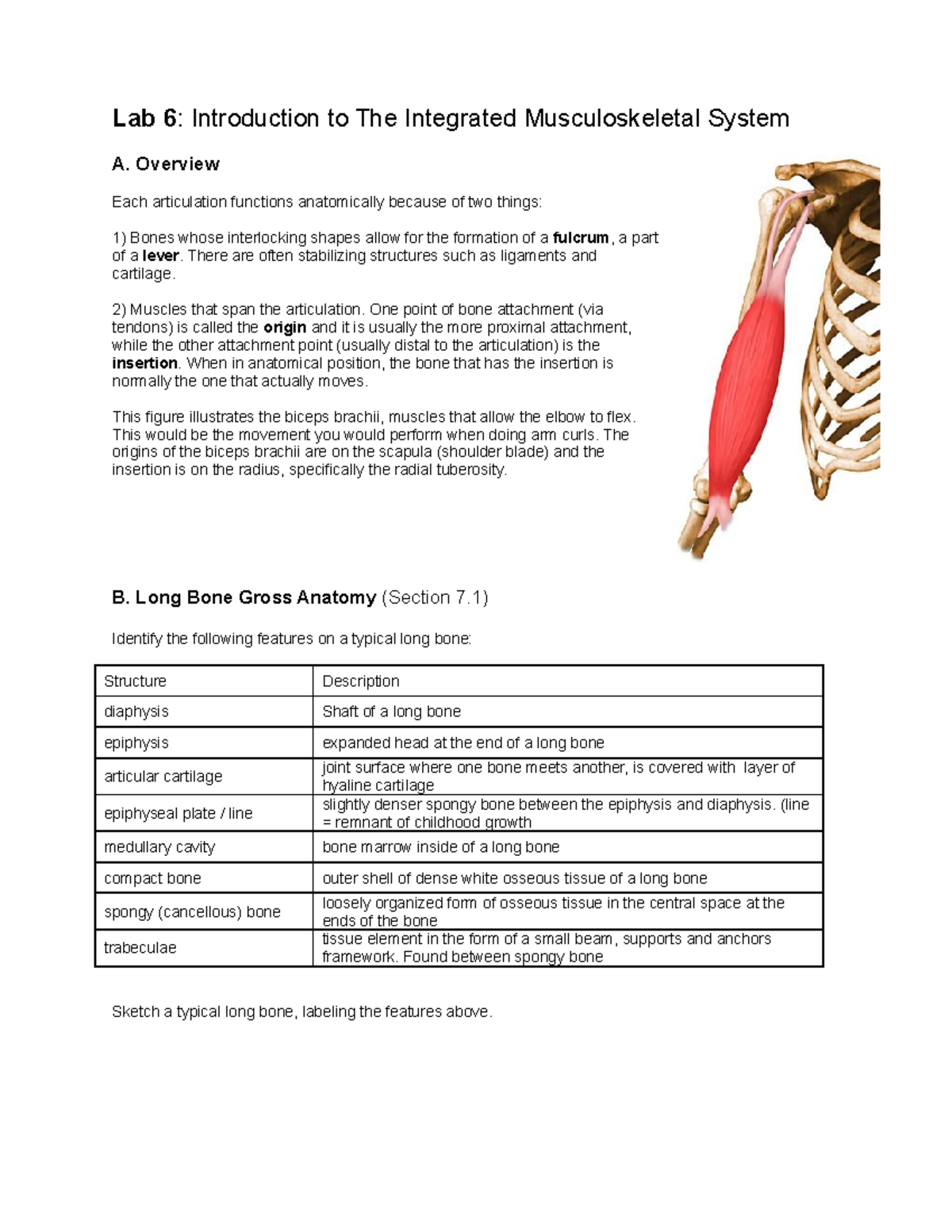 BIOH 201 Lab 6 pdf - Lab 6: Introduction to The Integrated ...