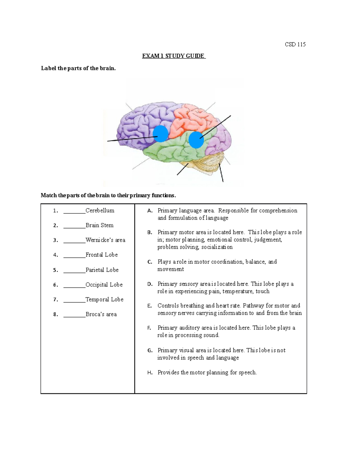 Exam 1 Study Guide - CSD 115 EXAM 1 STUDY GUIDE Label the parts of the ...