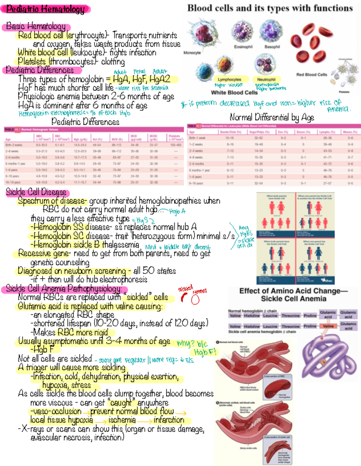 Pediatric Hematology and Oncology - Pediatric Hematology Basic Hematology Red blood cell - Studocu