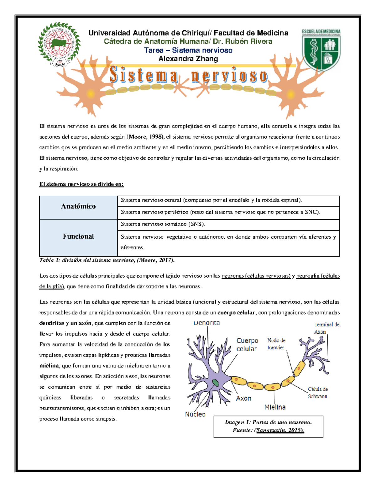 Resumen del sistema nervioso - Warning: TT: undefined function: 32 El sistema nervioso es unos ...