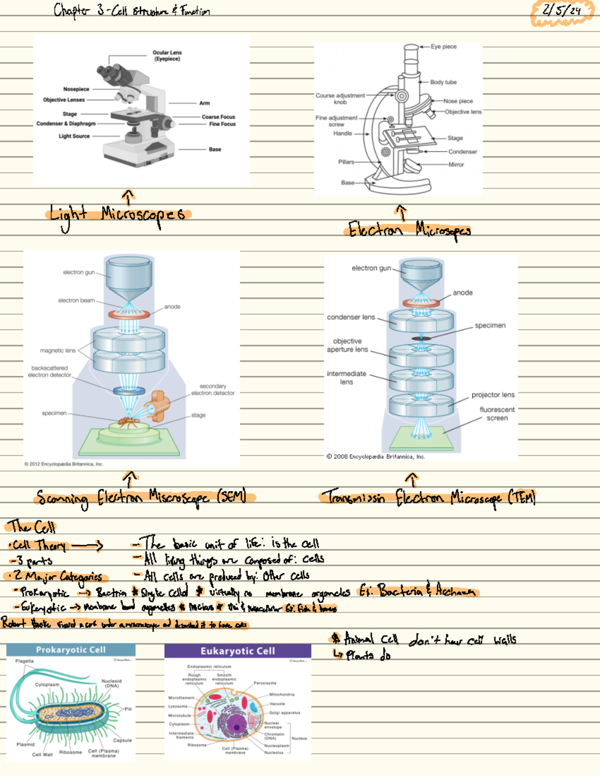 Cell structure and fuctiond - BIO-1 - Studocu