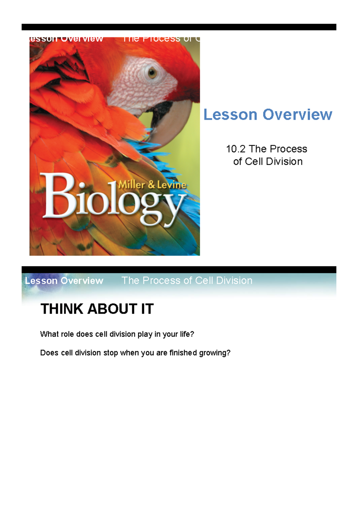 The Process of Cell Division PPT.ppt - Google Presentaties - Mgy379Y1 ...