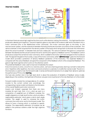 Tandem internal models execute motor learning in Q&A - Tandem internal ...