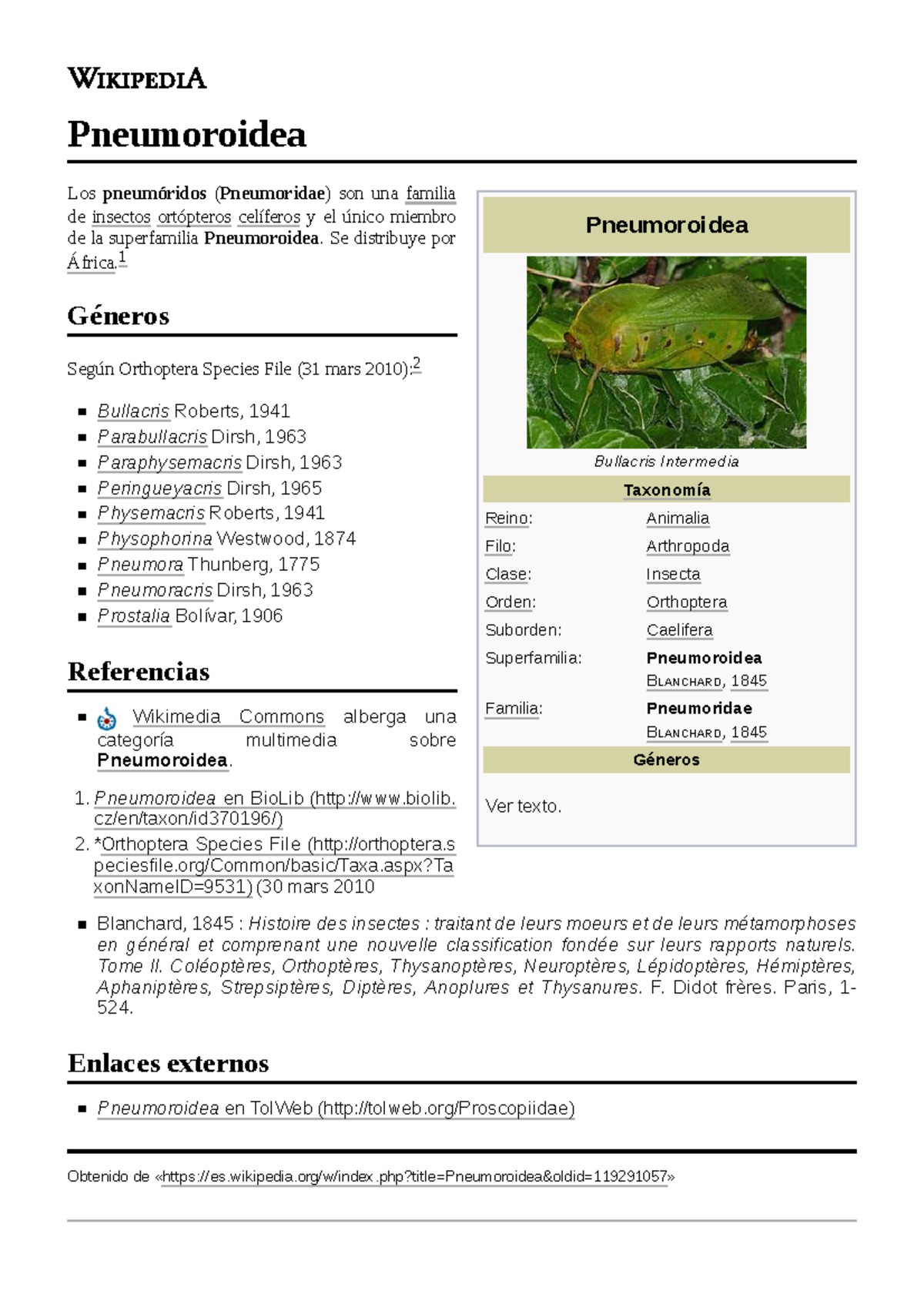 Pneumoroidea - Comprensión y redacción de textos - Pneumoroidea ...