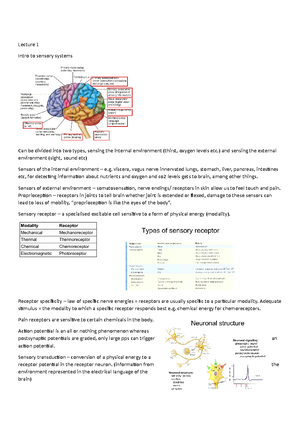 Lecture 1 - notes - Lecture 1: Function of sensory systems is to: Sense ...