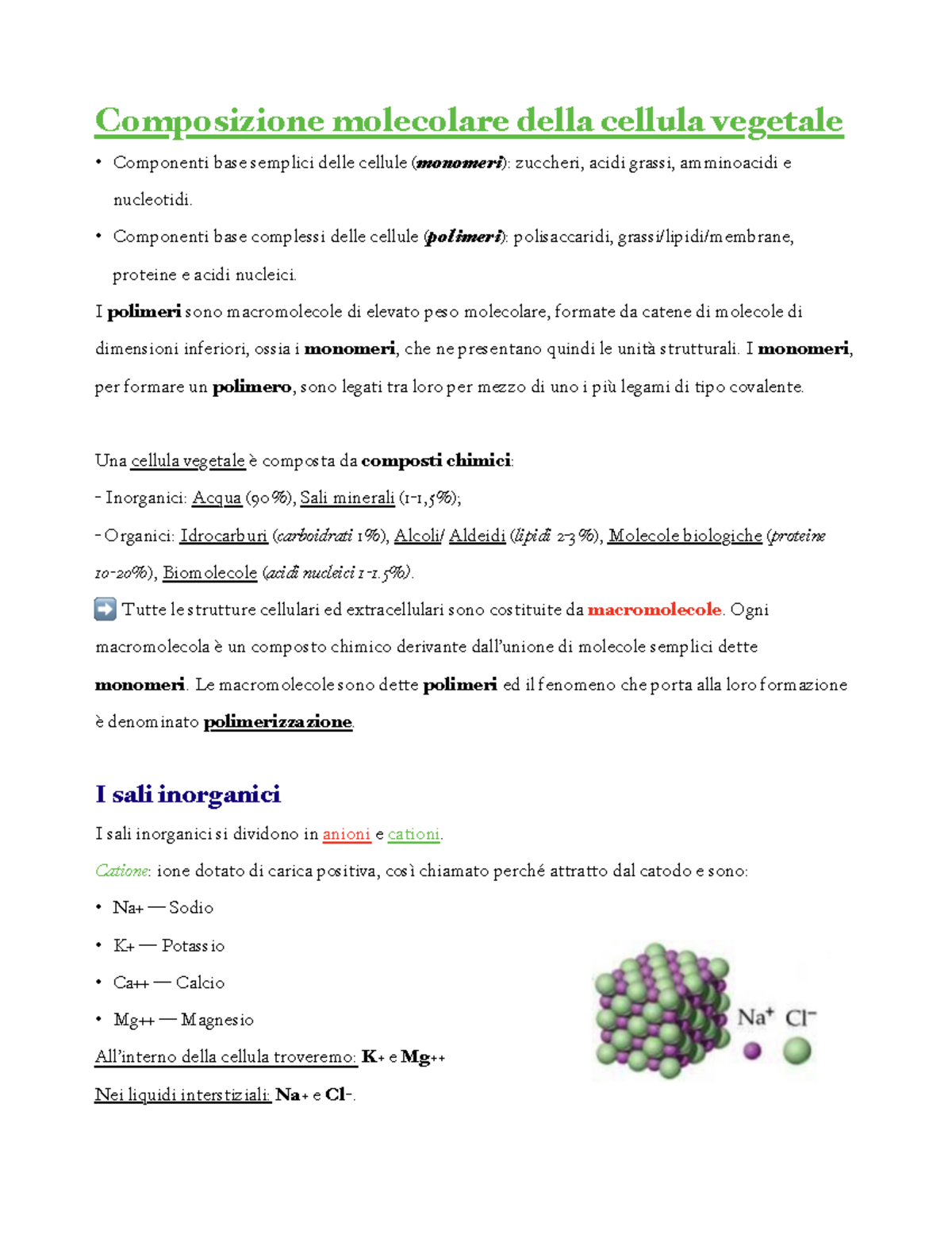 Lezione 2. Composizione molecolare della cellula vegetale - Composizione molecolare della ...