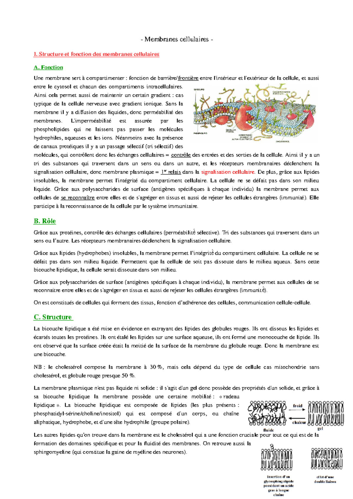 Membranes cellulaires - Structure et fonction des membranes cellulaires ...