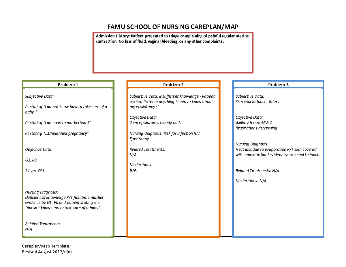 CARE PLAN MAP 3431L - careplan - NUR 4267 - Florida A&M University ...