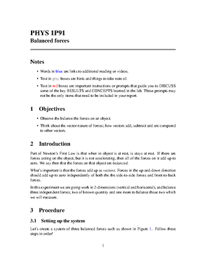 PHYS1P91 Intro lab 2 - LAB - PHYS 1P Kinematics: Velocity and ...