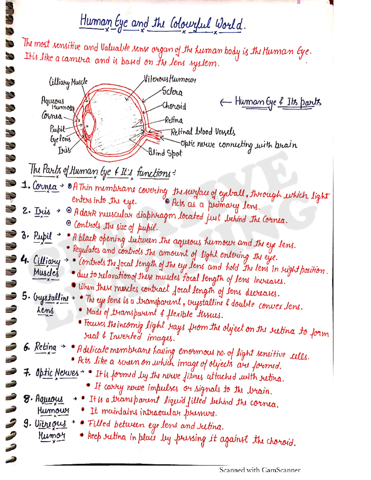 10p Ch11 - Best Science Study Notes For Higher Study In English Simple