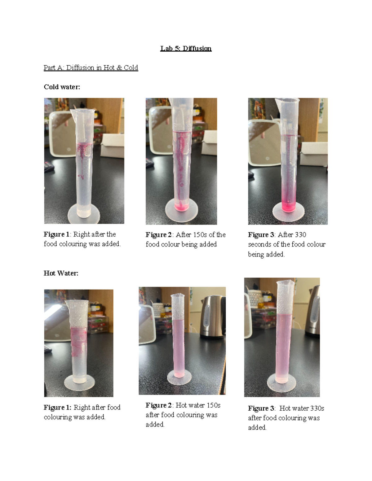 Lab 5 Diffusion - Lab 5: Diffusion Part A: Diffusion in Hot & Cold Cold ...