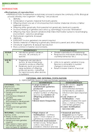 Biology Full Course Notes - YEAR 12 BIOLOGY MODULE 5: HEREDITY Cell ...