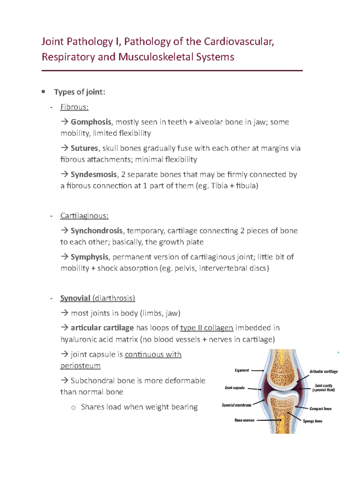Joint Pathology I Pcrms - Joint Pathology I, Pathology of the ...