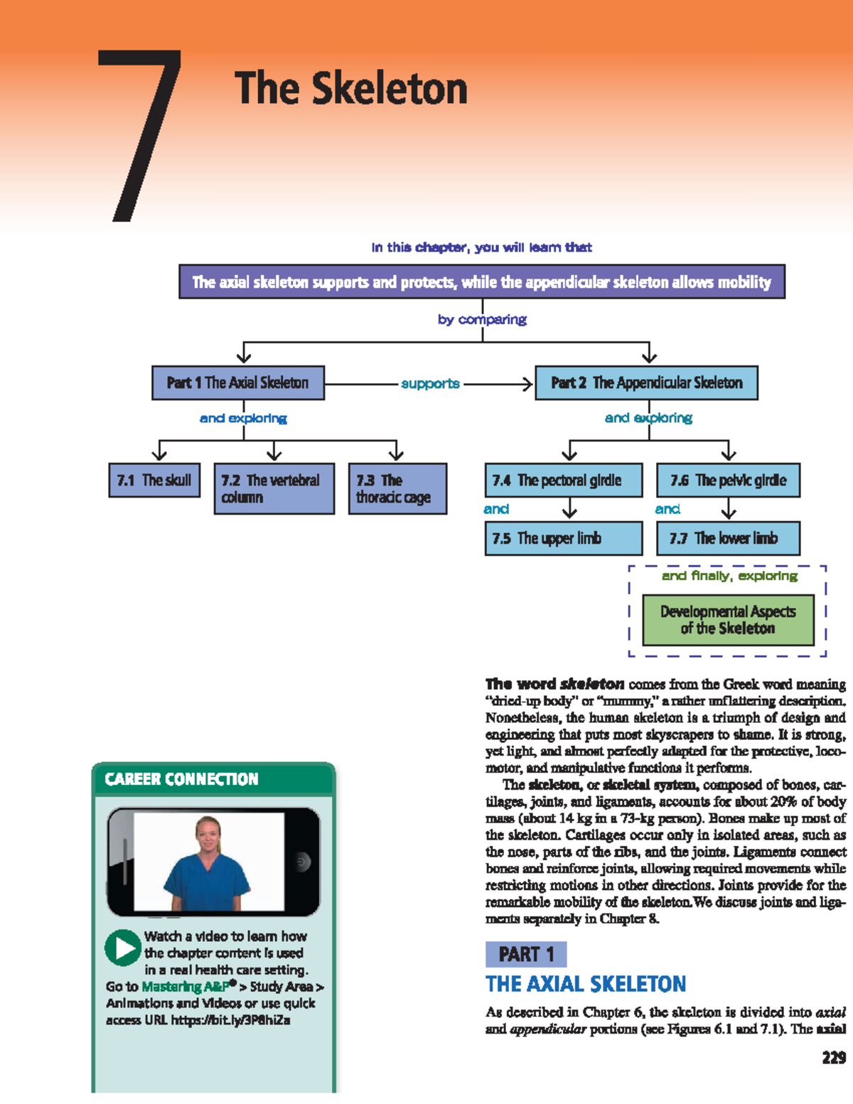 CH 7 Pearson Anatomy - 7 The Skeleton In this chapter, you will learn ...