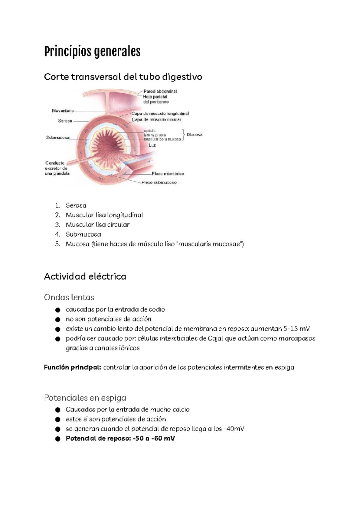 Capitulo 63 guyton - Principios generales Corte transversal del tubo digestivo Serosa Muscular ...