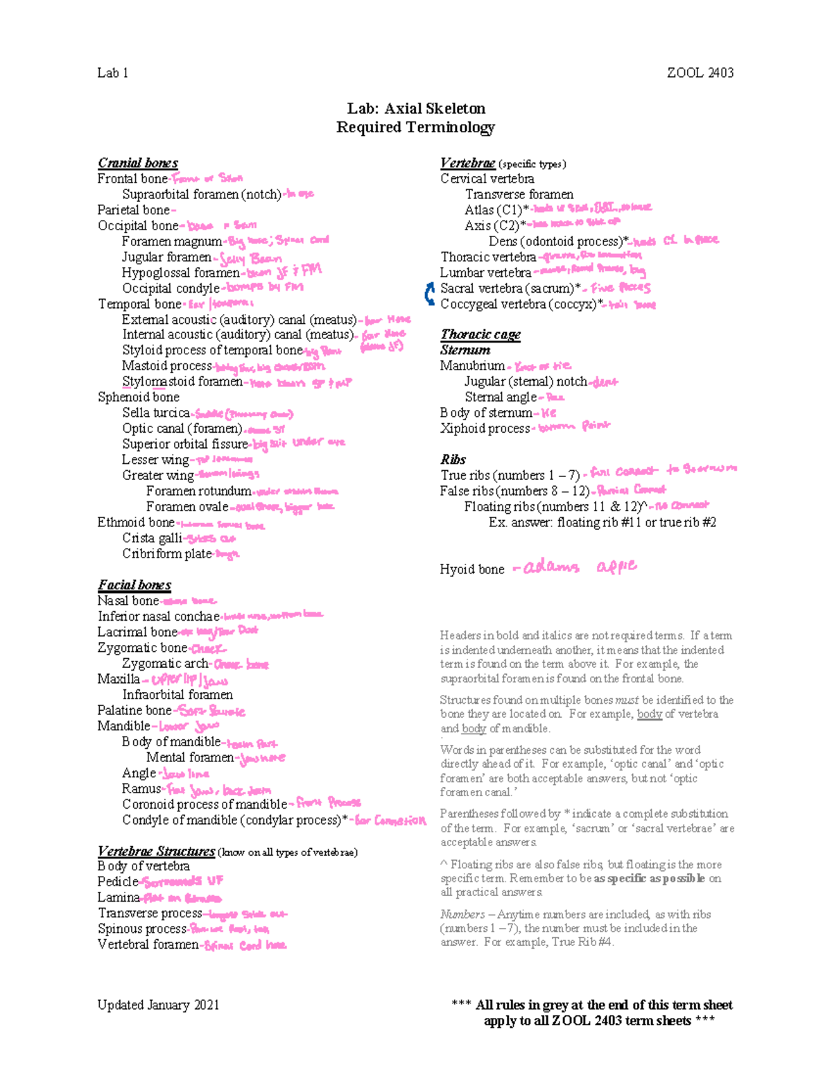 Axial Skeleton - Practical 1 term sheet - Lab 1 ZOOL 2403 Updated ...
