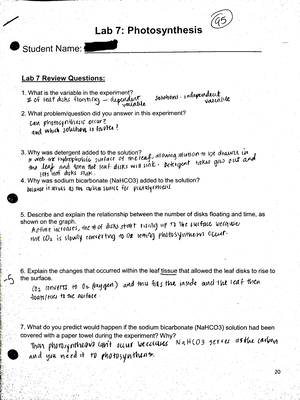 Lab 6 Cellular Respiration - BIO 101 - Studocu