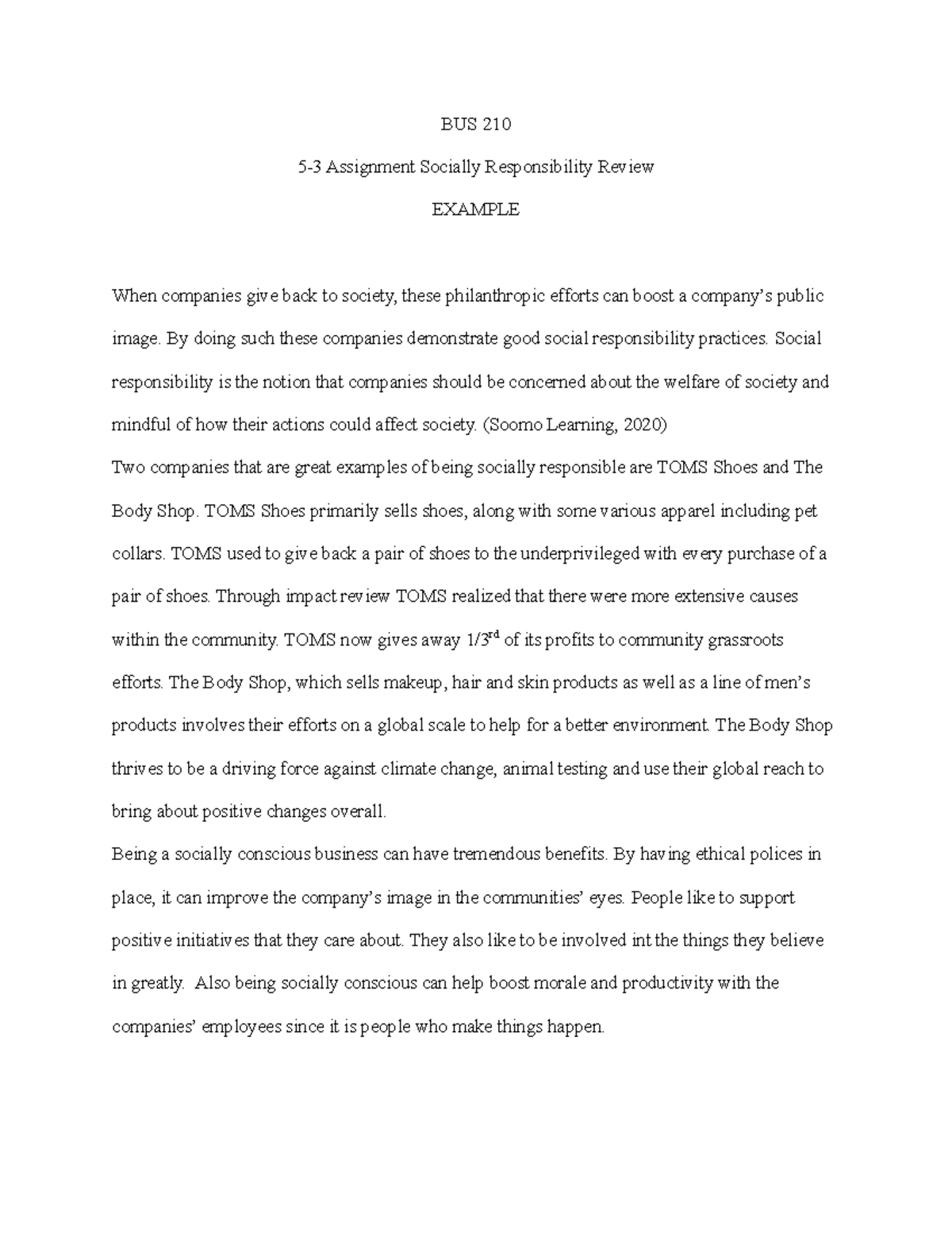 BUS 210 Social Responsibility 5-3 Example - BUS 210 5-3 Assignment ...