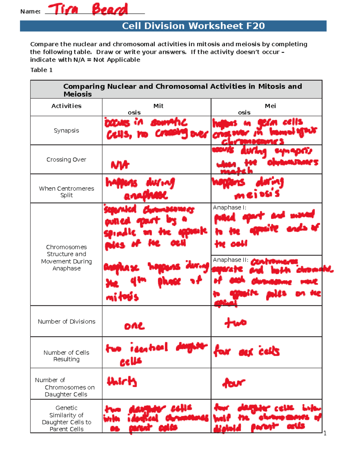 Cell Division Lab Worksheet modified F20 New Links - Compare the ...