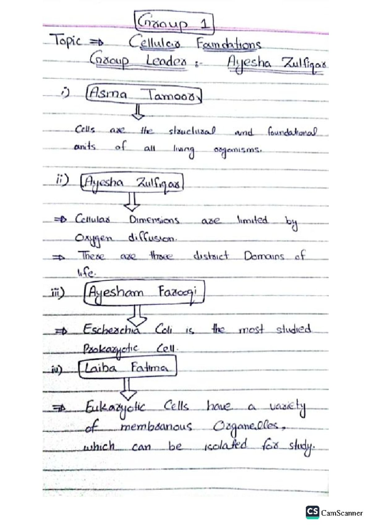 Group 1 Cellular Foundation - Institute of chemistry - Studocu