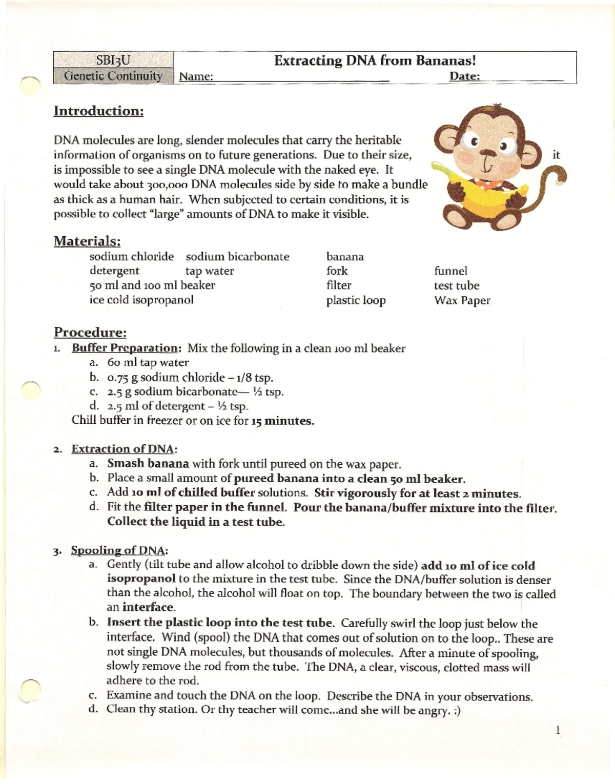 SBI3U DNA extraction - Work on the details and rudiments of simplifying ...