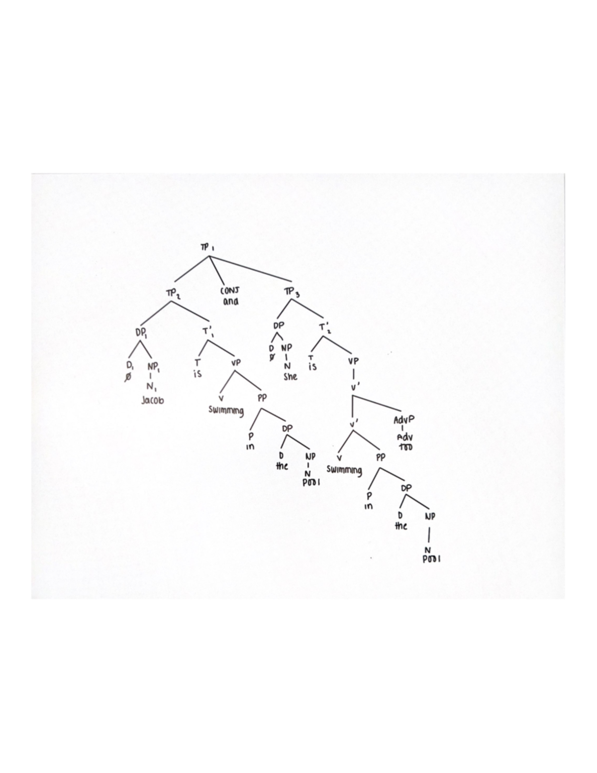 Swimming 2 - Sample linguistic tree. - 01:615:201 - TP I TP2 CONJ TP 2 3 and DP DP, 2 1 D NP I T ...