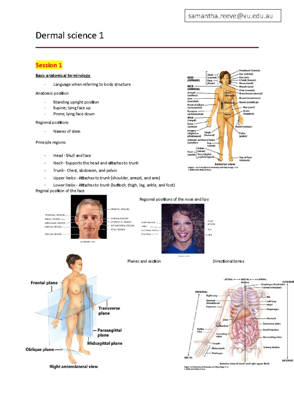 Dermal science 1 notes - Dermal science 1 Session 1 Basic anatomical ...