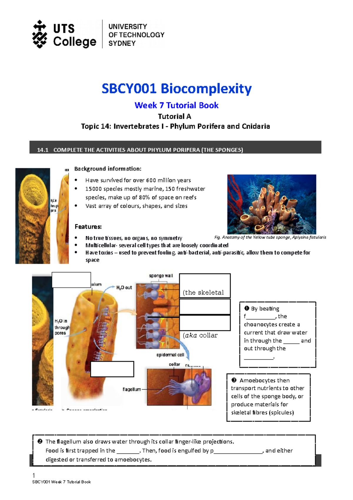SBCY001 Week 7 Tutorial Book - SBCY001 Biocomplexity Week 7 Tutorial Book Tutorial A Topic 14 ...