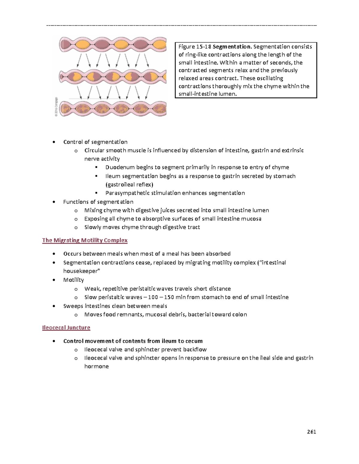 Human Physiology II Notes - Part 14 - Figure 15-18 Segmentation ...