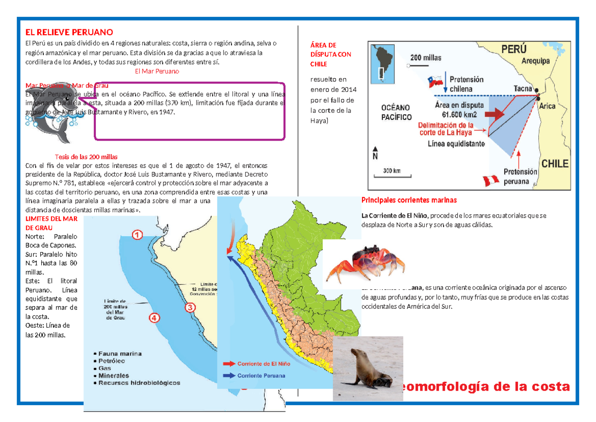 EL Relieve Peruano - EL RELIEVE PERUANO El Perú es un país dividido en ...