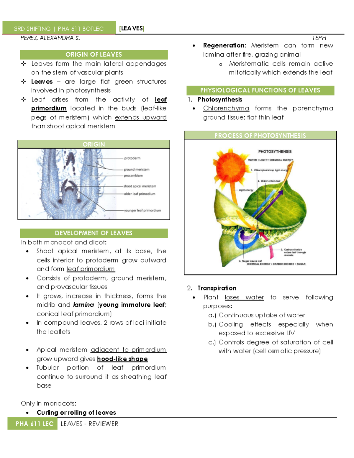 Leaves - PEREZ, ALEXANDRA S. 1EPH ORIGIN OF LEAVES Leaves form the main ...