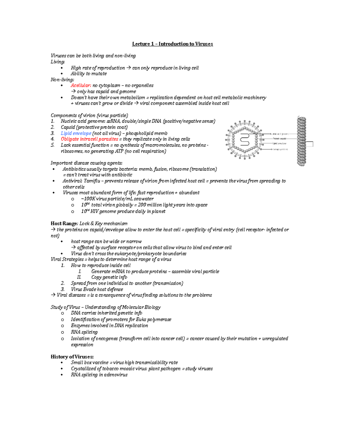Lecture 1 – Introduction to Viruses - Lecture 1 – Introduction to ...