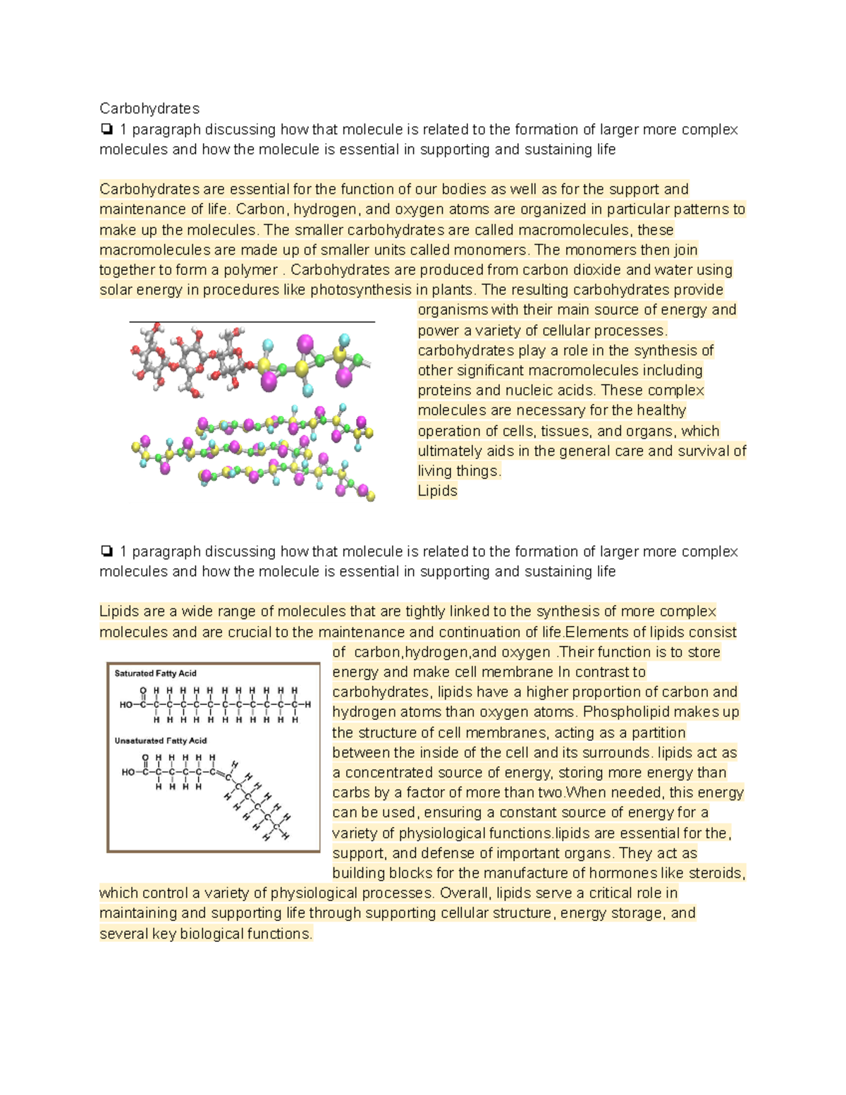 Macromolecule Museum Summative notes - Carbohydrates 1 paragraph ...