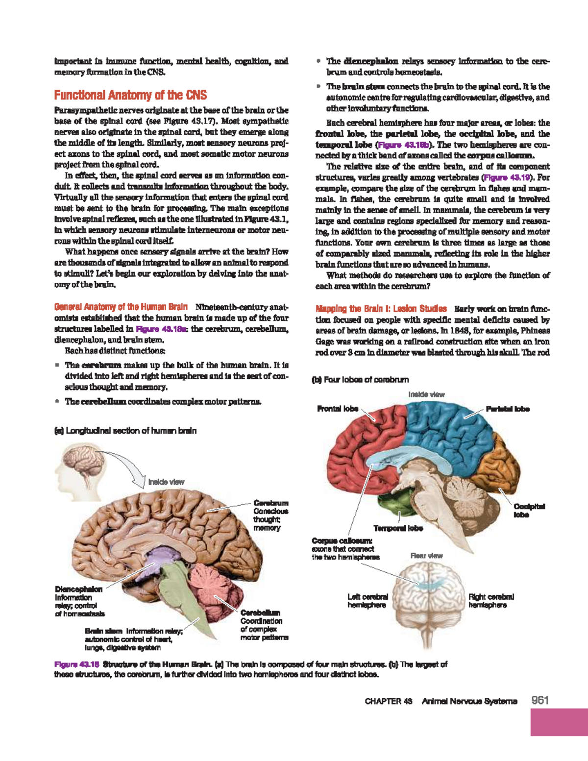 Readings Lec 18,19 - BISC 102 - Studocu