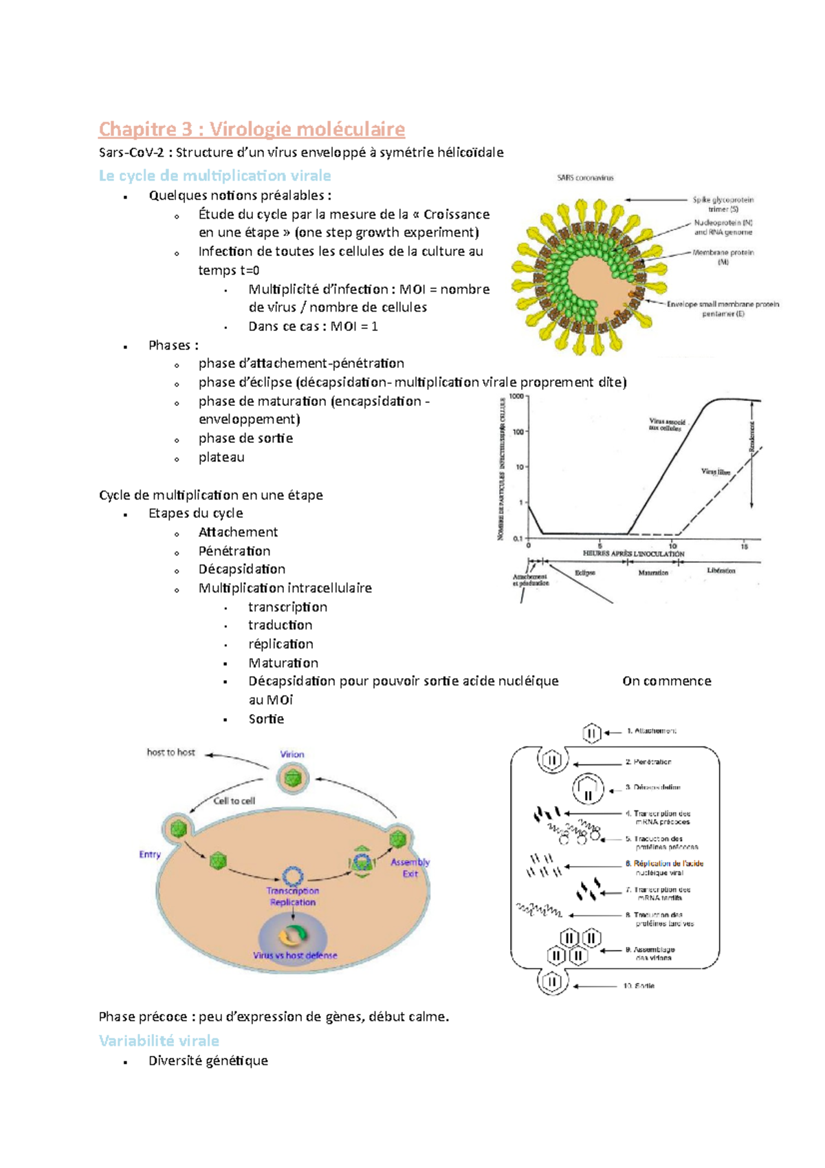 Chapitre 3 - Cours de virologie - Chapitre 3 : Virologie moléculaire Sars-CoV-2 : Structure d’un ...
