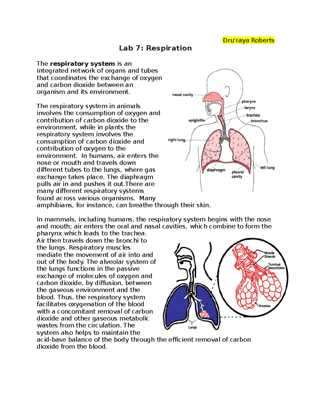 Respiration Lab Packet - Dru'raya Roberts Lab 7: Respiration The ...