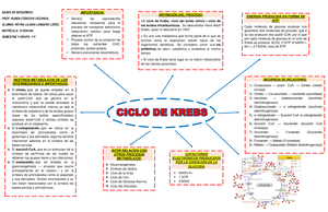 Asma - infografía del asma - Ama y su Espesialista el Neumologo Colegio ...
