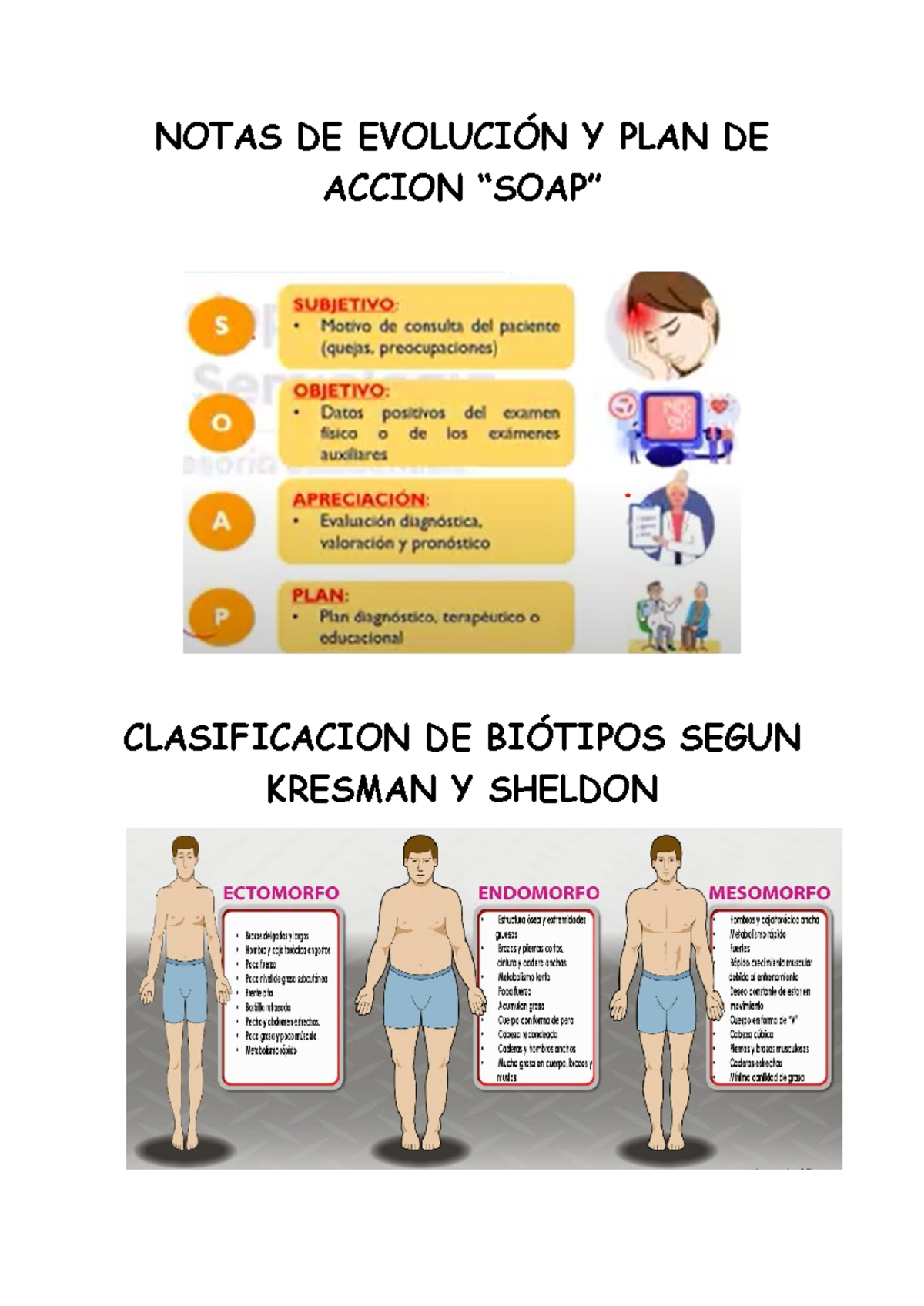 Clasificacion DE Biótipos Segun Kresman Y Sheldon - Copia - Copia ...