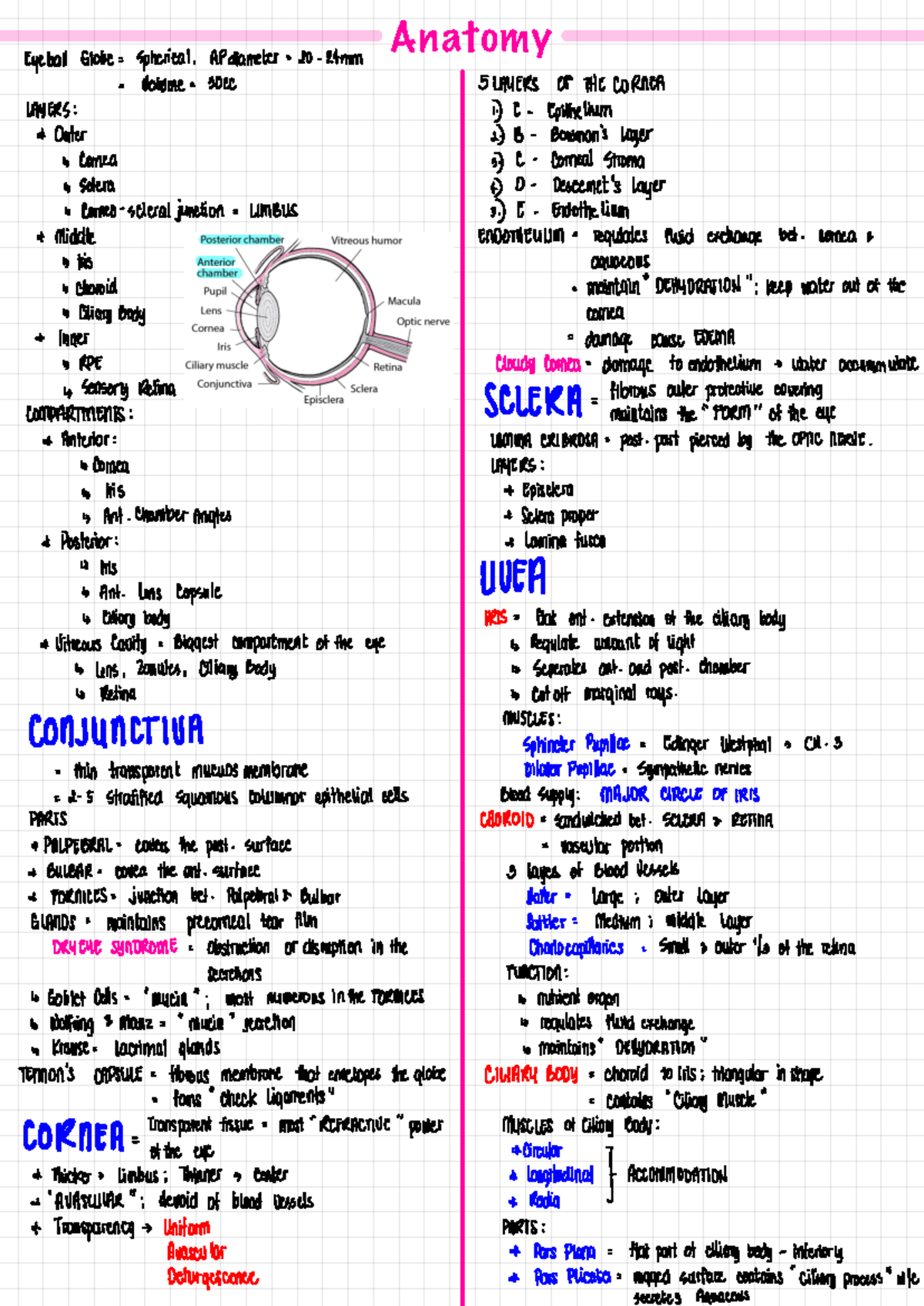 Notes- Ophthalmology - MEDICINE - Anatomy Anatomy Eternal Diseases of ...