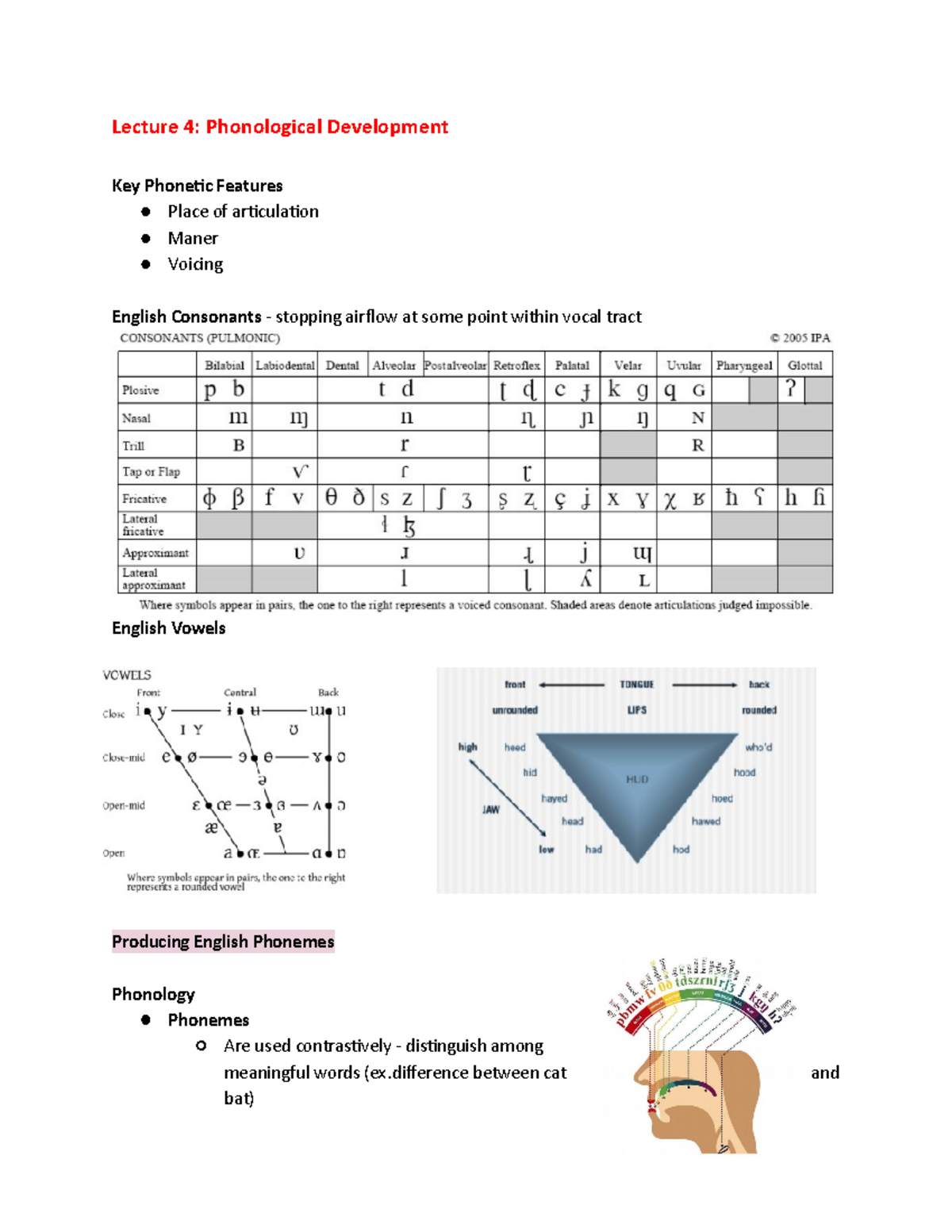 Lecture 4 Phonological Development - Lecture 4: Phonological ...