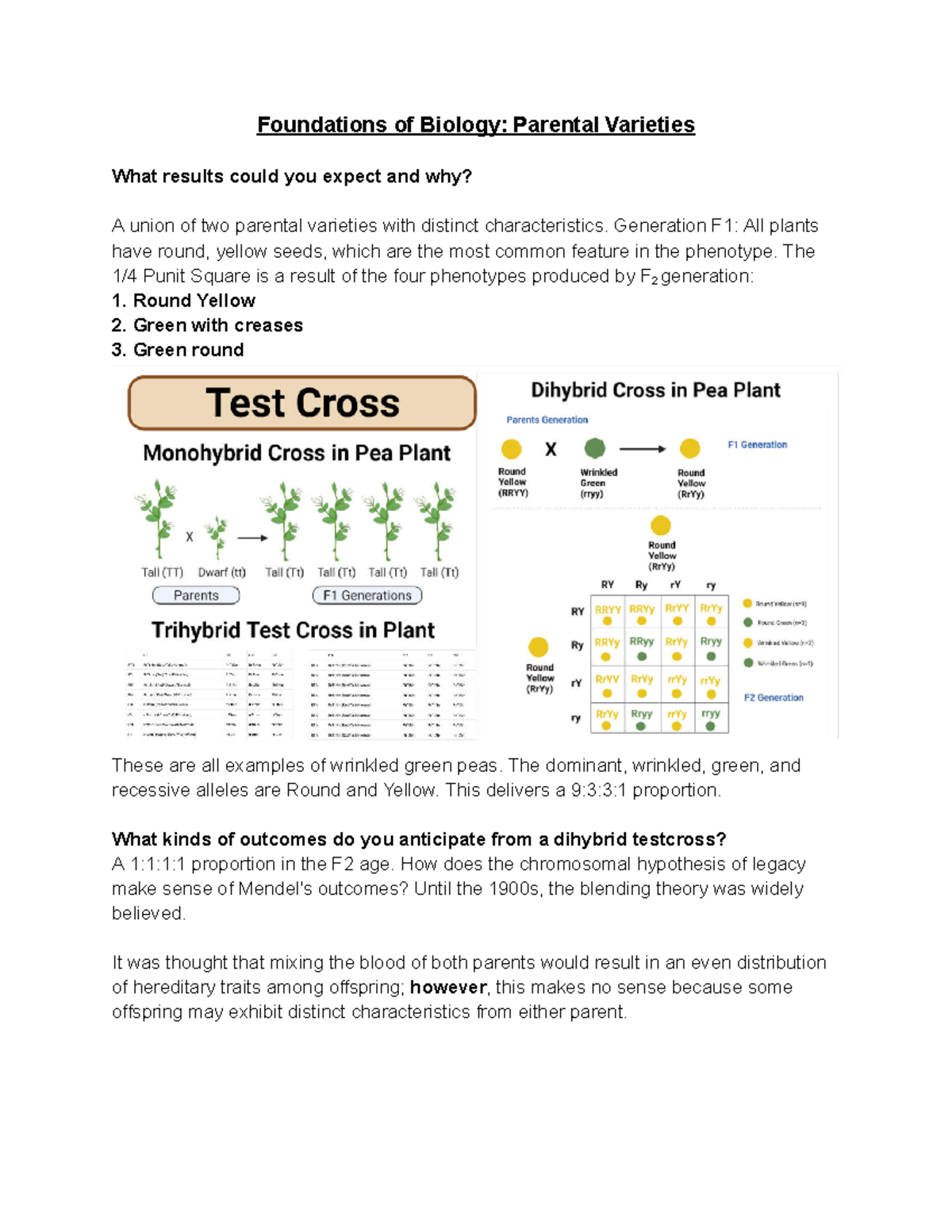 Foundations of Biology Parental Varieties - Generation F1: All plants ...